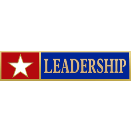 Blackinton A13088 Three Section Leadership with Star Commendation Bar ...