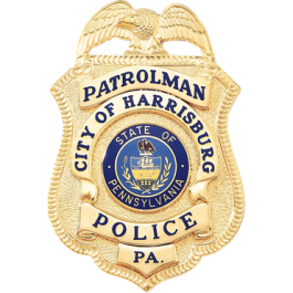 Blackinton B741-HA Badge with Eagle and Applied Panels