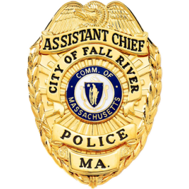 Blackinton B899-HA Badge with Eagle and Applied Panels