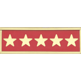 Blackinton J202-Y25 - 25 Years of Service Commendation Bar (3/8")