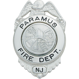 Smith & Warren M14 Eagle Top over Circle Panel Badge