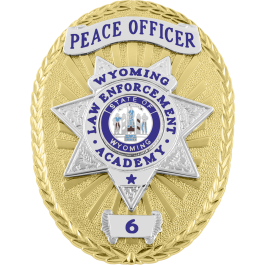 Smith & Warren M261J_S264 Oval Badge with Applied 7-Point Star