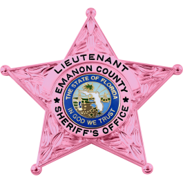 Smith & Warren S689 Pink Breast Cancer Awareness 5-Point Star Badge