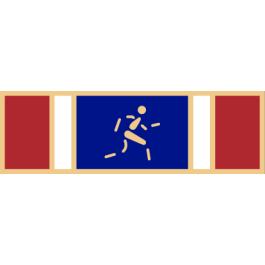 Smith & Warren SAB3_103 Five Section Fitness Award Service Award Bar