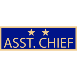 Smith & Warren SAB3_508 Asst. Chief Service Award Bar